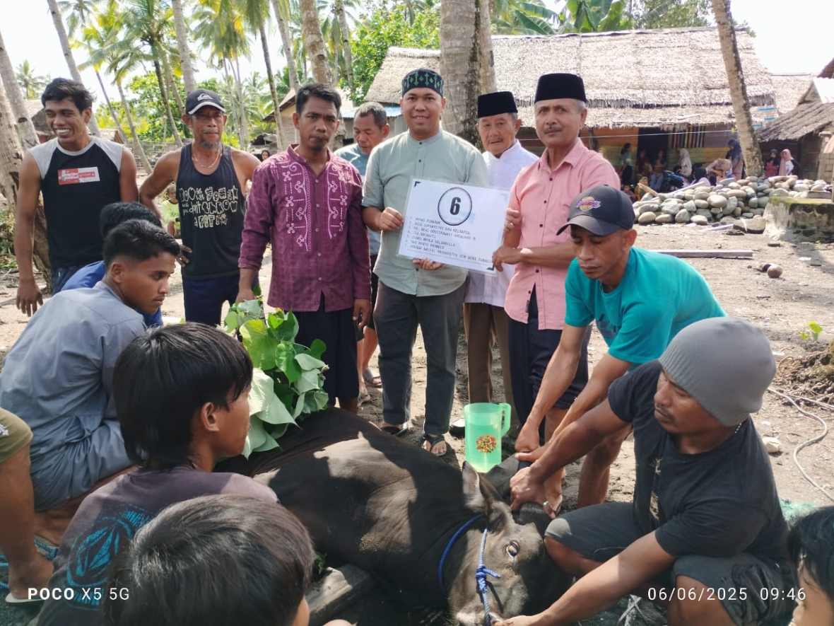 Shohibul Qurban JOB Tomori dan Mitra Kerja Salurkan Daging Kurban untuk ...