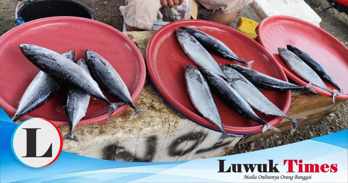 Musim Ikan Tapi Harga Naik? Ini Penjelasan Pedagang Pasar Simpong